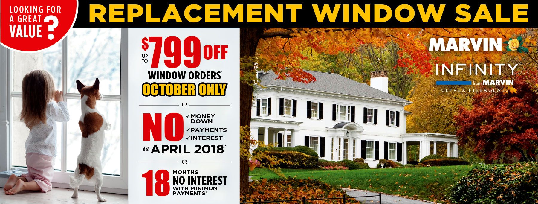 The Window Man--Replacement Windows